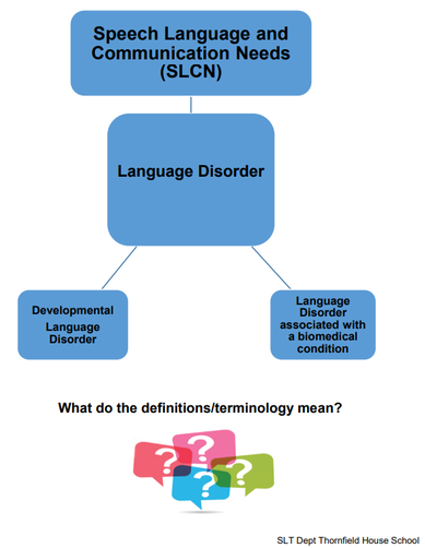 Understanding Children with Speech, Language and Communication Needs (SLCN)
